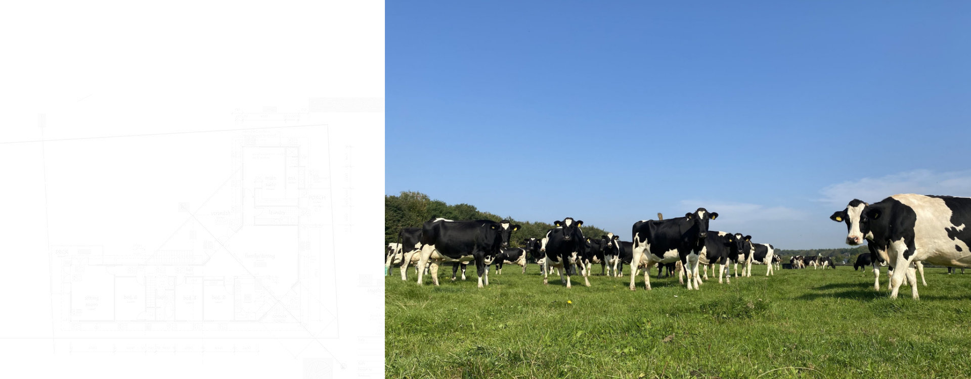 AJW Land & Development – Chartered Surveyors